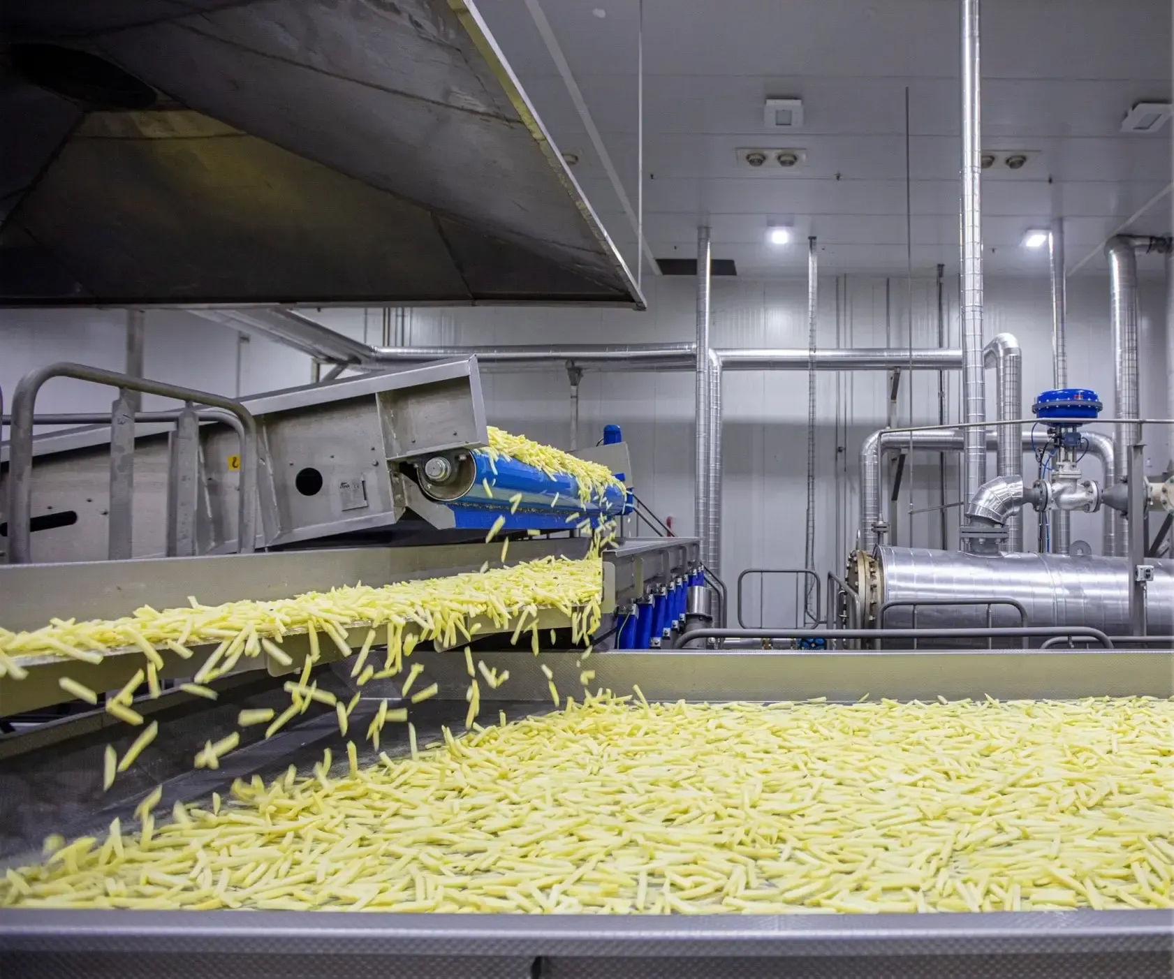 Fregy’s Egypt | Premium Frozen Fries & Potato Products